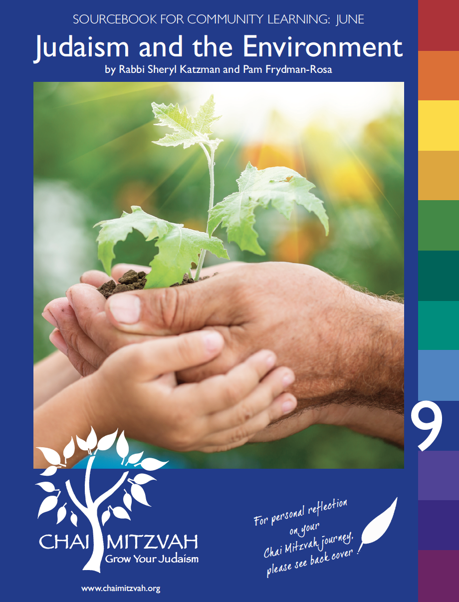 Jewish Journeys – Topic: Judaism and the Environment | Chai MitzvahChai ...